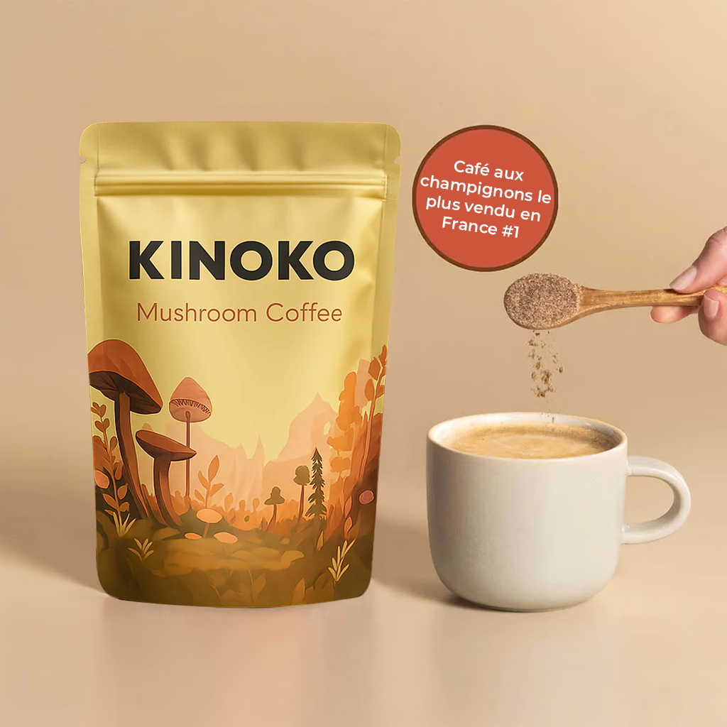 Kinoko Café aux Champignons – Try Kinoko FR